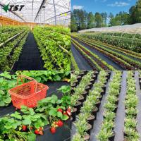 China 100% Polypropylene Weed Control Mat Landscape Fabric For 3-5 Years Durable Ground Cover for sale