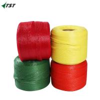 China 1kg Woven Net Bag Roll For Fruit Vegetable Packaging With Different Colors for sale