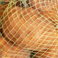 China 1kg Woven Net Bag Roll For Fruit Vegetable Packaging With Different Colors for sale