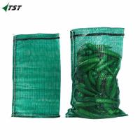 China Durable Green Color Pp Leno Mesh Bag For Chilli Tomato Packing for sale