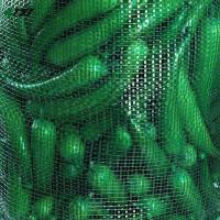 China 58*86cm Green Color Mexico Pp Leno Mesh Bag For Cucumber Lemon Vegetable Packing for sale
