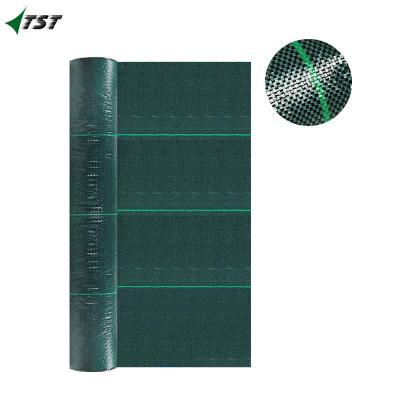 China Heavy Duty Green Color Pp Weed Control Ground Cover For Greenhouse Garden for sale