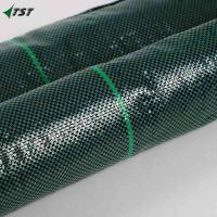 China Heavy Duty Green Color Pp Weed Control Ground Cover For Greenhouse Garden for sale