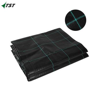 China UV Protection 150gsm Ground Cover Weed Barrier Balck Plastic For Garden Agriculture for sale