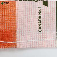 China 10lb Small Size Orange Color Pp Plastic Leno Mesh Bag With Custom Logo for sale