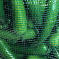 China 58x86CM Green Tubular Mesh Bag For Chili OEM Potato Leno Bag for sale