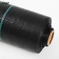China Heavy Duty Black Anti-UV Pp Weed Mat Roll Ground Cover For Agriculture Garden for sale