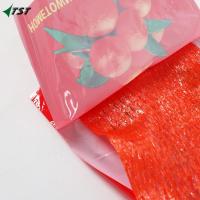 China Customized Color 1kg PP Small Netting Bag For Fruit Orange Packaging for sale