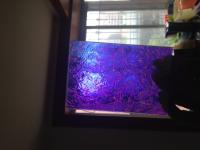 China Diglass Dichroic Glass for sale