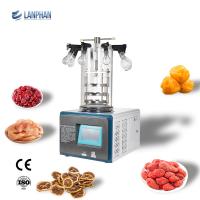 China Fruit Vacuum Freeze Dryer Drying Machine 220V Laboratory Corrosion Proof for sale