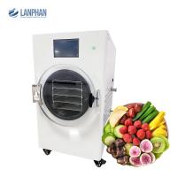 China Pharmaceutical Herbs Vacuum Freeze Dryer Medium Food Dehydrator With Pump for sale