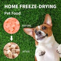 China Home Freeze Dryer Fruit Vegetable Food Mini Vacuum Lyophilizer for sale