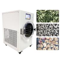 China Laboratory Freeze Drying Machine 1550W For Fruits Vegetables for sale