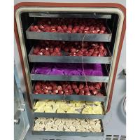China Laboratory Freeze Dryer with 0.4㎡ Freeze-drying Area, Air-cooled System, and 6 kg/24h Water Catching Capacity for sale