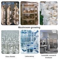 China Mushroom Sterilizing Equipment Substrate Autoclave Machine For Mushroom Spawn for sale