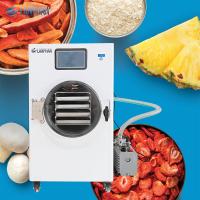 China Lanphan Home Strawberry White Vacuum Freeze drying Machine With Vacuum Pump Or No Oil Pump for sale