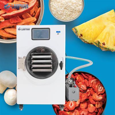 China Lanphan Home Strawberry White Vacuum Freeze drying Machine With Vacuum Pump Or No Oil Pump for sale