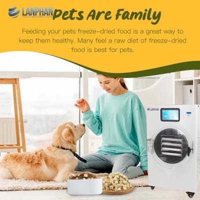 China Food Freeze Drying Machine Commercial Freeze Dryer Vacuum Pump For Food Fruit Candy for sale