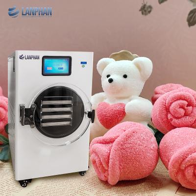 China Home Freeze Dried Food Machine With Vacuum Pump For Handmade Candies, Yogurt Shakes for sale