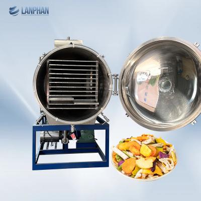 China 100kg 200kg 500kg Industrial Freeze Dryer Commercial Freeze Dry Machine For Food for sale