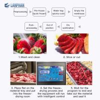 China Probiotics Powder Industrial Freeze Drying Equipment Freeze Drying In Biological Chemical Industry for sale