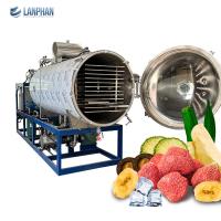 China Large Stainless Steel Food Freeze Dryer Fruit Flower Industrial Freeze Drying Machine for sale