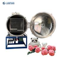 China Large Stainless Steel Food Freeze Dryer Fruit Flower Industrial Freeze Drying Machine for sale
