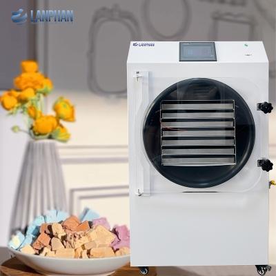 China 2.5M2 Food Vacuum Lyophilizer Freeze Drying Equipment Freeze Dry Machine For Home for sale