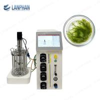 China Mini Microbial / Bacteria Fermenter Bioreactor 1l Lab Fermenter Bioreactor For Algae for sale