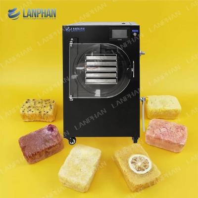 China 5 Trays Home Sea Cucumber Fruits Vegetables Small Freeze Dryer Machine for sale