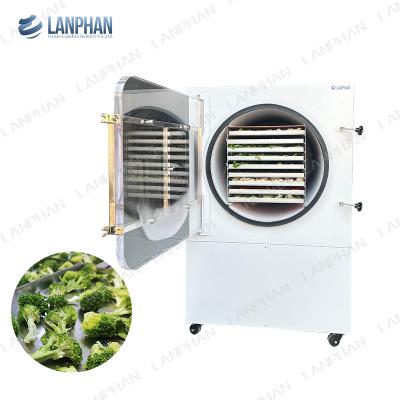 China 18 Trays Pharmaceutical Food Freeze Drying Machine Vacuum Freeze Dryer Machine For Vegetable for sale