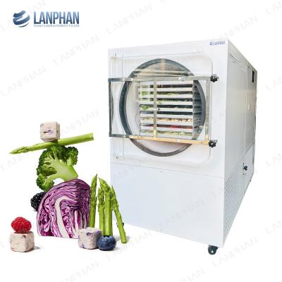 China Lanphan Automatic Large Freeze Dryer 5m2 Freeze Dryer Machine For Meat Fruit Vegetables for sale