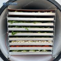 China Lanphan Automatic Large Freeze Dryer 5m2 Freeze Dryer Machine For Meat Fruit Vegetables for sale