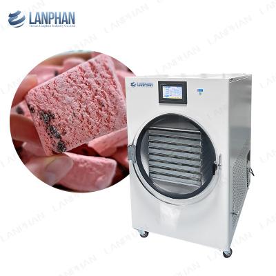China Freeze Drying Equipment Household Freeze Dryer Machine Freeze Dry Machine For Home for sale