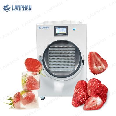 China 40kg Berries Fruit Vacuum Freeze Dryer Lyophilizer Candy Cucumber 8 Trays Freeze Dry Machine for sale