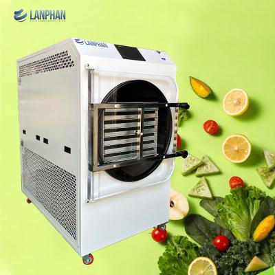 China Multi-Function Lab Commercial Vegetable Snack 60KG Vacuum Freeze Dryer Lyophilizer Machine for sale