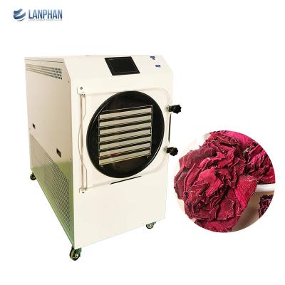 China Fruit Vegetable Liquid Lyophilizer 50kg/24 Hour Small Commercial Freeze Dryer for sale