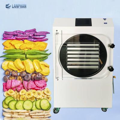 China 3.5m² Fruit Vegetable Milk Freeze Dryer Double compressor Pet Snack Food Vacuum Freeze Dryer for sale