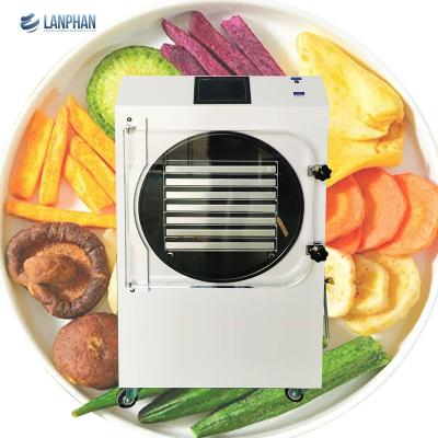 China 50kg Commercial Fruits Vegetables Candy Lyophilizer Food Freeze Drying Machine for sale
