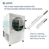 China Lanphan Freeze Drying Equipment Commercial Freeze Dryer Machine for Okra Strawberry Yogurt for sale