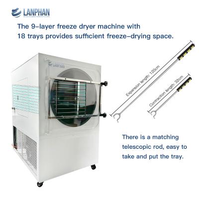 China Lanphan Freeze Drying Equipment Commercial Freeze Dryer Machine for Okra Strawberry Yogurt for sale
