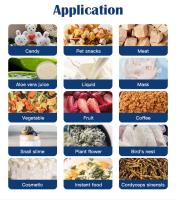 China Double Compressor Vegetable Freeze Dryer Fruit Flower Vacuum Freeze Drying Equipment for sale
