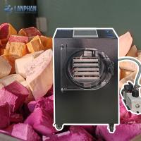 China Automatic Small Home Freeze Dryer Machine for Fruit Food Meat Vegetable with Vacuum Pump for sale