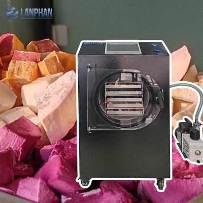 China Automatic Small Home Freeze Dryer Machine for Fruit Food Meat Vegetable with Vacuum Pump for sale