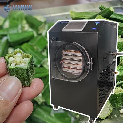China Home 4-6kg Freeze Dryer Lyophilizer Freeze Dryer Machine for Food for sale