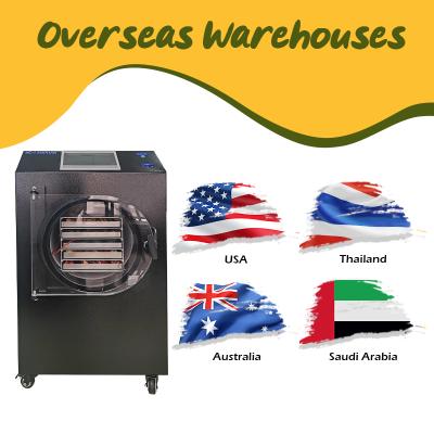 China 6kg 10kg 20kg Fruit Liofilizador Small Vacuum Freeze Drying Equipment Home Food Freeze Dryer for sale