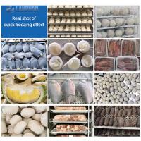 China -45℃ High Quality Commercial Fast Freezer Industrial Blast Freezer Quick Freezing Machine for sale