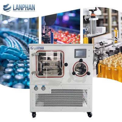 China Small-Batch Intelligent Pilot-Scale Laboratory Freeze Dryer Machine Freeze Dryer Lab Equipment for sale
