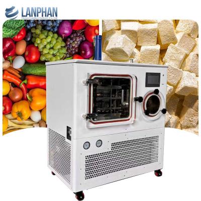 China 8kg/Batch Industrial Lab Freeze Dryer Lyophilizer for Microbial Products for sale