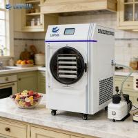China Home Use 5 Trays Vacuum Freezer Dryer Small Lyophilizer Foods Drying Machine for sale